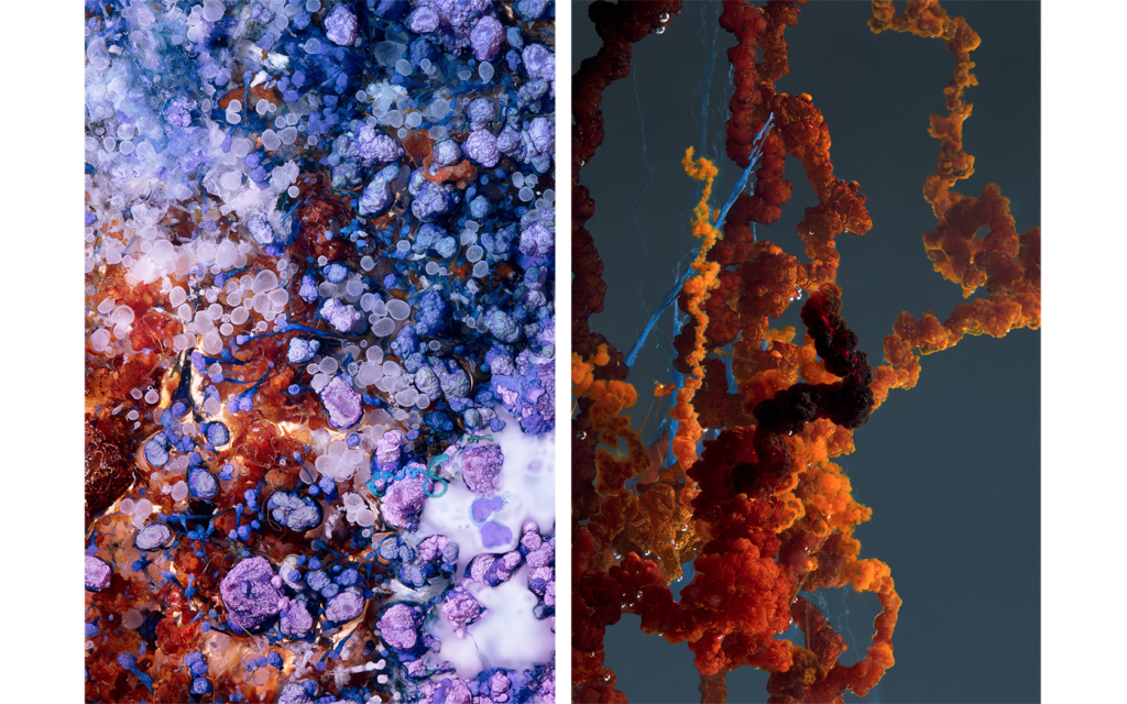 Hyperorganic - Taupe Magazine